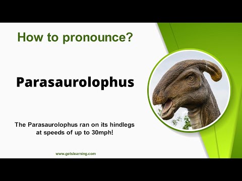 How to pronounce Parasaurolophus in English correctly