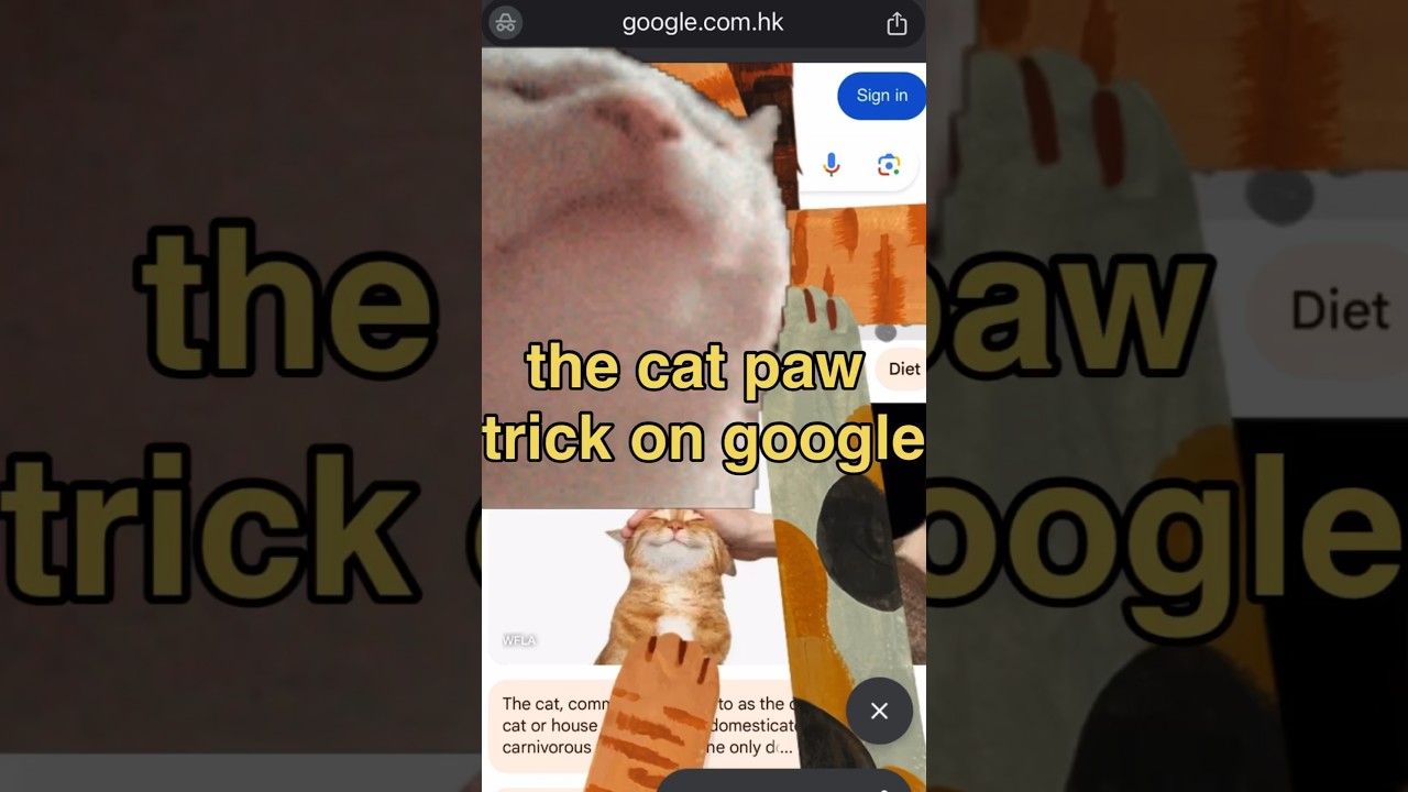 The cat paw trick on google  #GoogleCatPaw #MeatballMagic #interactiveexperience