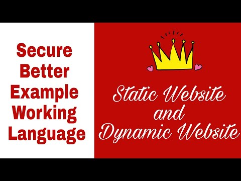 Static and Dynamic Website Explained with Example