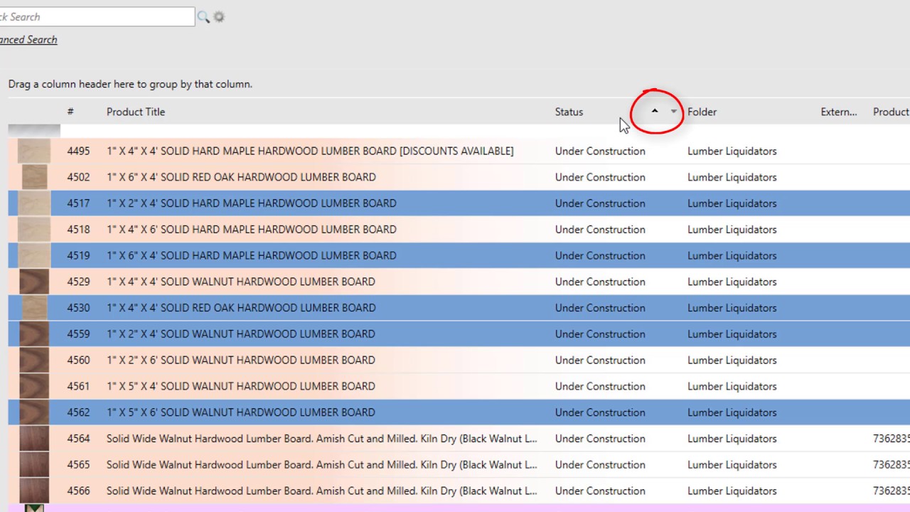 Working with Grids: Selection, Sorting and Grouping