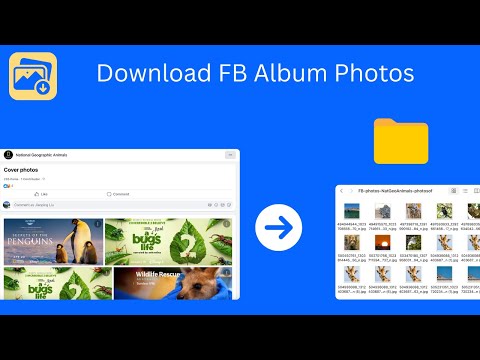 How to download Facebook album photos?