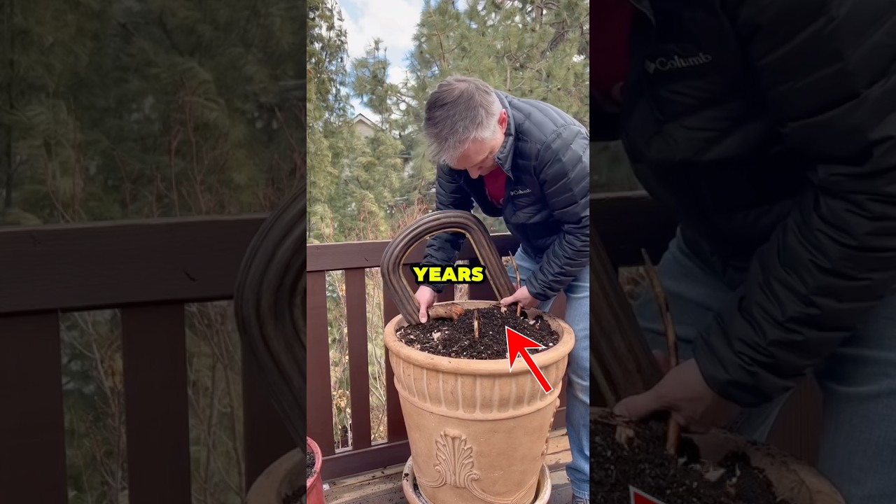 The Frame That Fooled Everyone