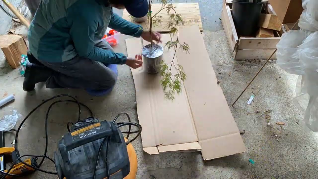 Episode 18: Time Lapse Packaging of Trees