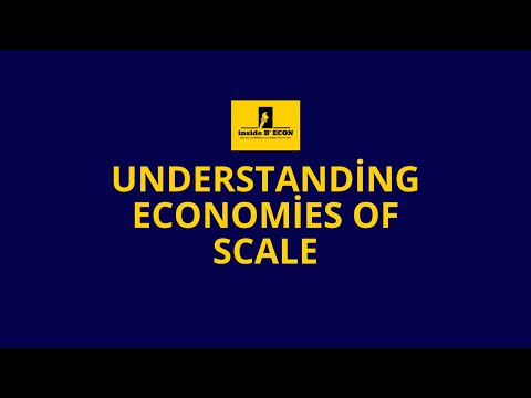 Understanding Economies of Scale | O Level & A Level Business & Economics Studies | Inside B'ECON