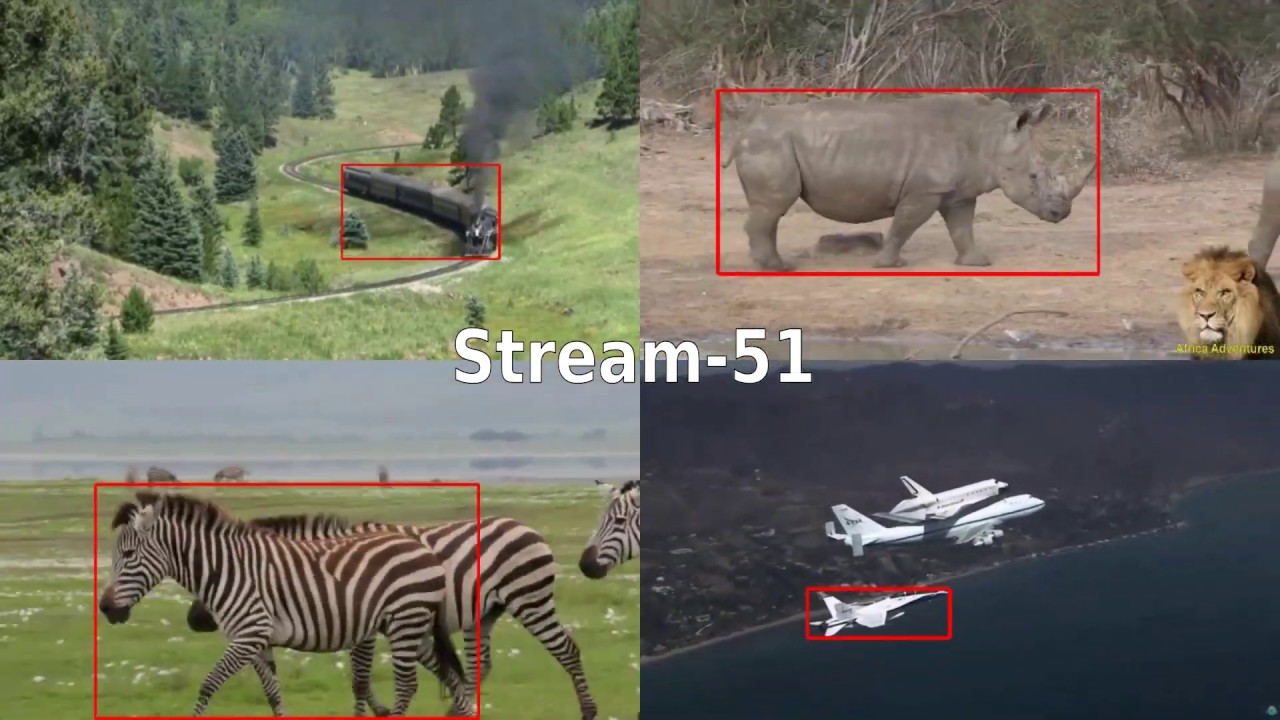 Stream-51: Streaming Classification and Novelty Detection from Videos