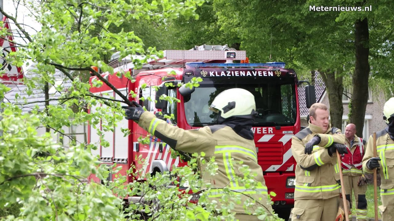 Bomen omver geblazen door stormachtige wind in Klazienaveen(Video)