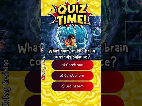 Can You Guess Which Brain Part Controls Balance? 🧠#Shorts #quiz #humanbody