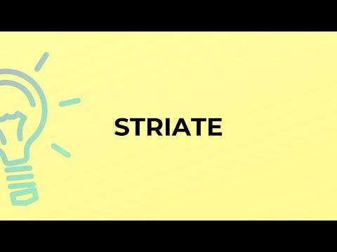 What is the meaning of the word STRIATE?