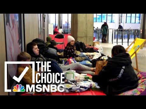 Harvard Students Help Ukrainian Refugees | Zerlina.