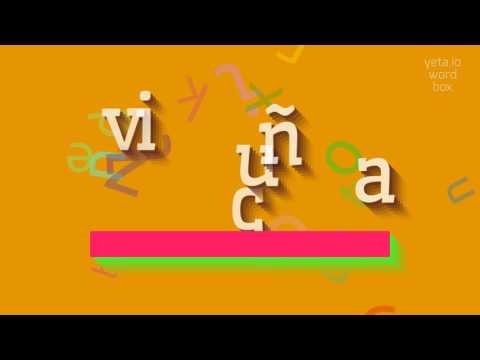 How to say "vicuña"! (High Quality Voices)
