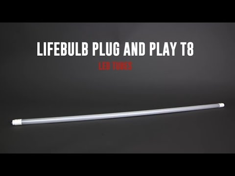 T8 Plug & Play LED Tube | Product Spotlight: LifeBulb