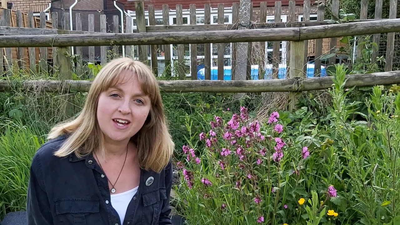 2020 Nature Explorers: Bees
