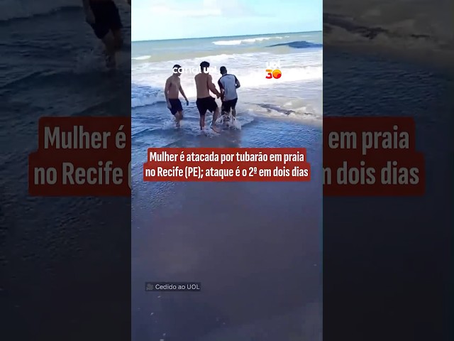 Tubarão que atacou jovem no Recife tem espécie diferente do que mordeu ...