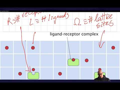 Dynamics of ligand-receptor binding
