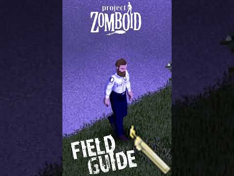 Steam Community :: Video :: Candle Field Guide - Where to find them and ...