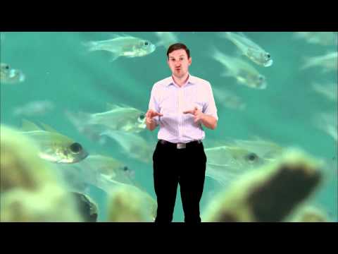 Stuff From the Future - What is the future of seafood?