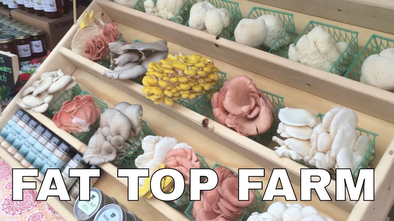 Farmer Profile | Fat Top Farm, Farmington