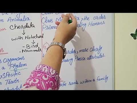 Taxonomic hierarchy| classification system | different levels of classification or hierarchy