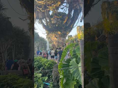 Pandora – The World of Avatar, Disney's Animal Kingdom