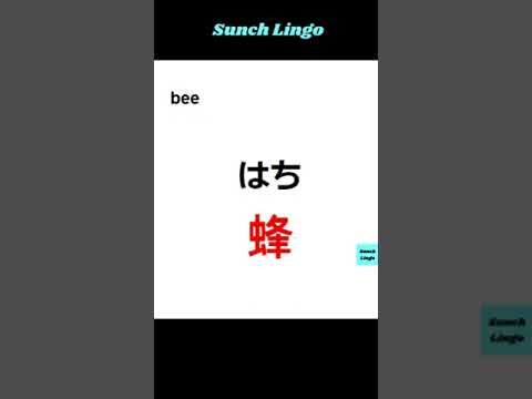 Insect in Japanese 1.