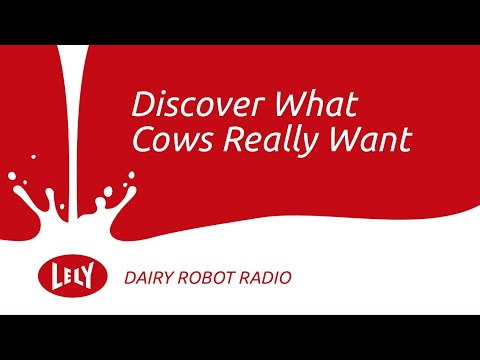 Dairy Robot Radio Episode 12: Discover What Cows Really Want