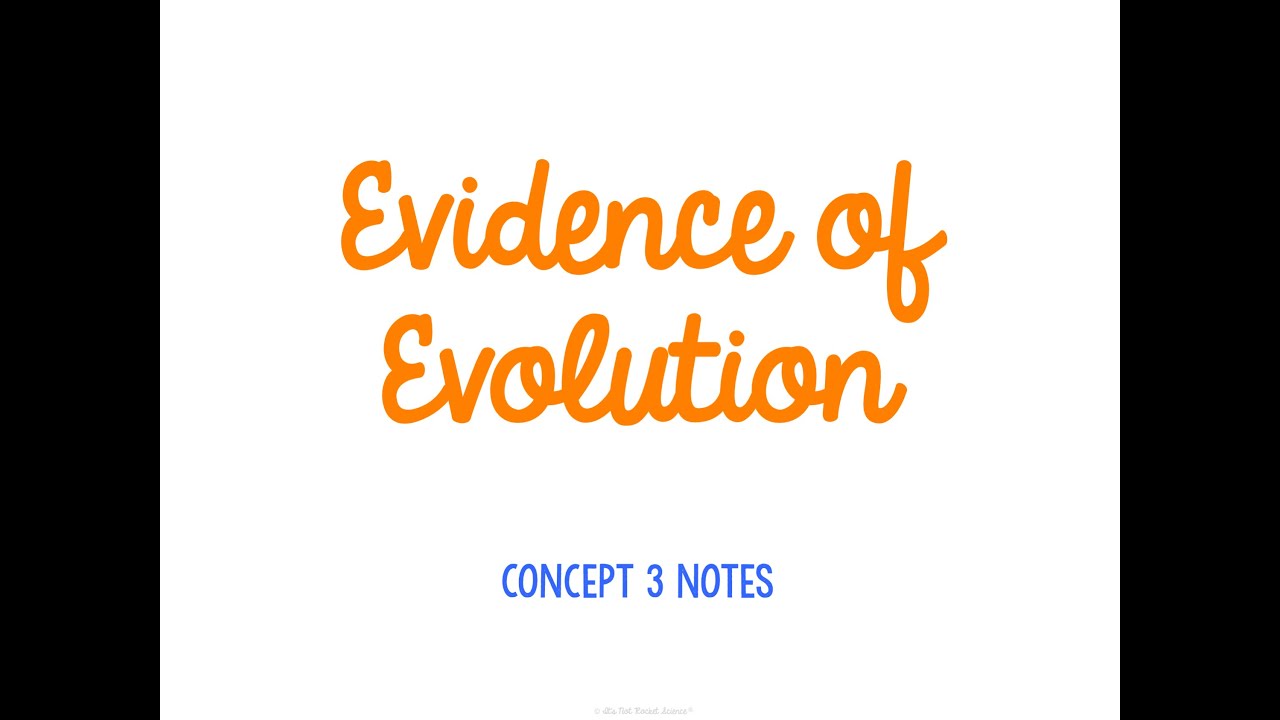 Unit 6 Evolution Concept 3 Notes *UPDATED*