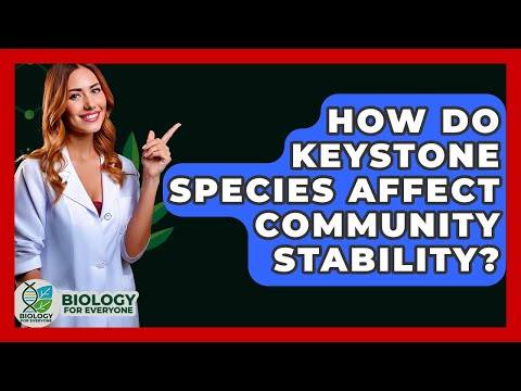 How Do Keystone Species Affect Community Stability? - Biology For Everyone