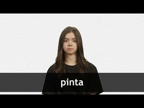 English Translation of “PINTA” | Collins Spanish-English Dictionary