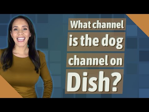 What channel is the dog channel on Dish?