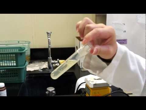 Enzyme Lab: Effects of pH on Papain