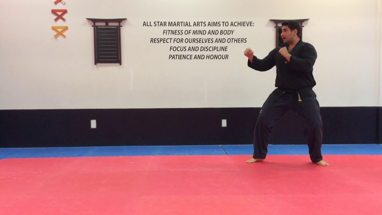 Kicking combo 2 Blue Belt