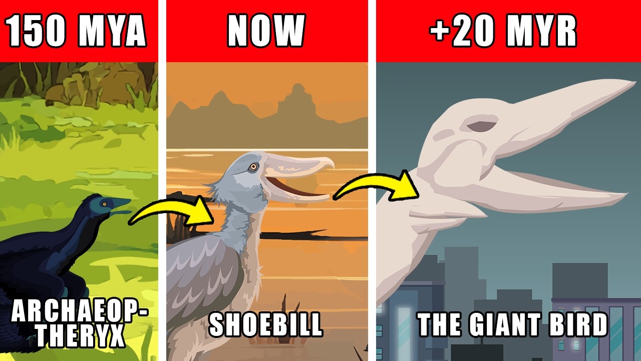 The Giant Bird (Trevor Henderson) Evolution: How The Giant Bird Could Have Evolved