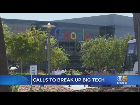 Congressional Report Calls For Major Tech Companies Be Reined In And Broken Up