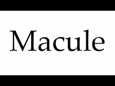 How to Pronounce Macule