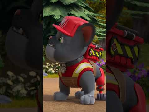 Rubble and His Friends Build a New Home for Bats! 🦇 #rubbleandcrew #pawpatrol