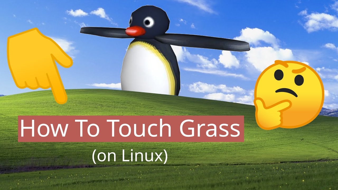 How To Touch Grass (Working Tutorial - 2023)