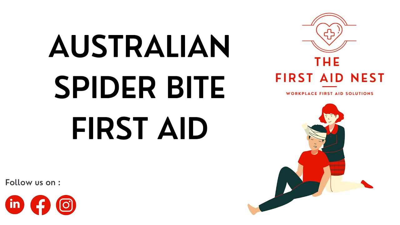 Australian Spider Bite First Aid