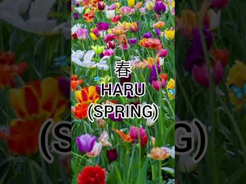 Four seasons in Japanese