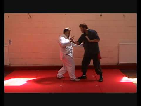 Taiji Chin Na “The Art of Seizing” – LFIAA Under Technical Director ...