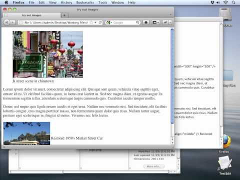 HTML5 Tutorial | Using the Figure Tag
