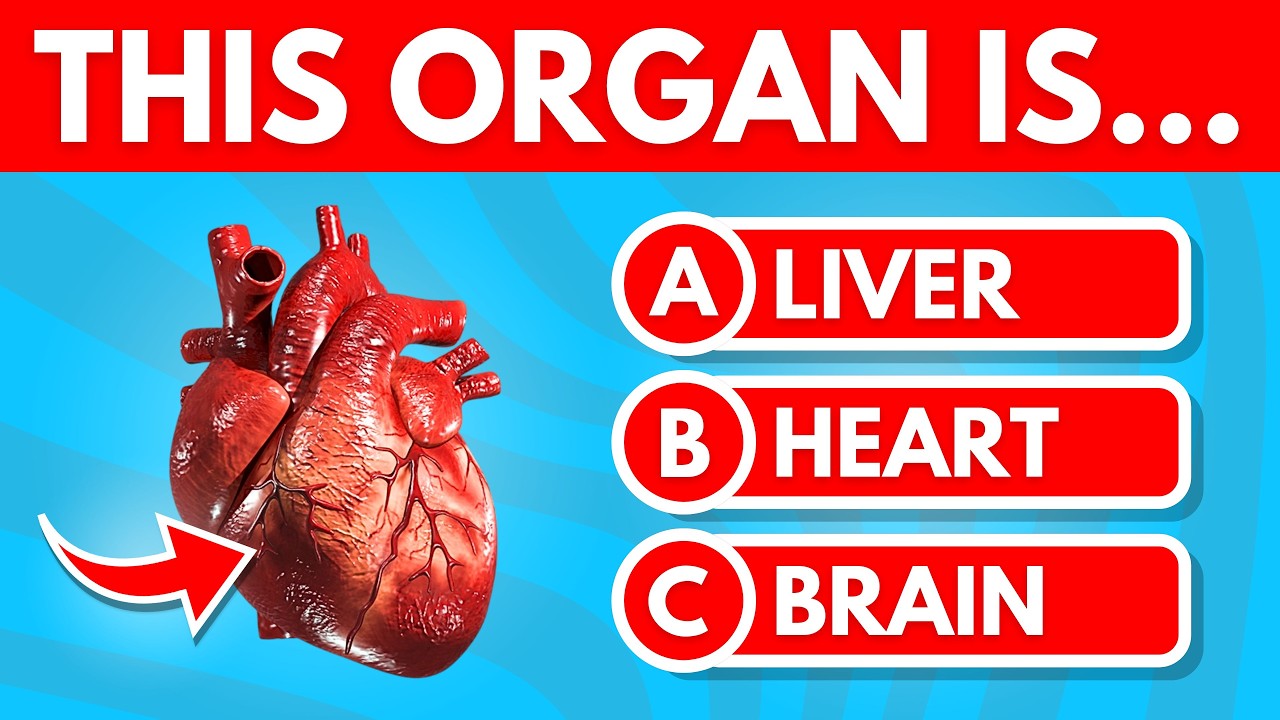 MEGA General Knowledge Quiz 🤔 | 150 Questions | Ultimate 1 Hour Trivia Marathon