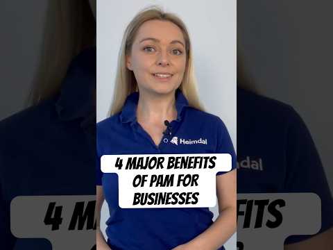 4 Major Benefits of PAM for Businesses