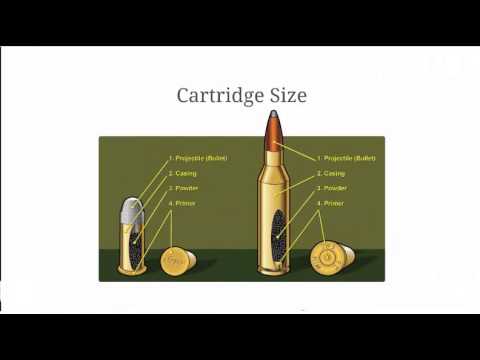 Bullet Comparison | Calibers and Bullet Measurements Explained