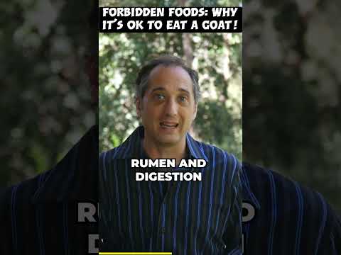 Forbidden Foods: What It Means to "Chew the Cud" #emanuelswedenborg #biblestudy #forbiddenfoods