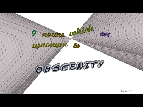 obscenity - 9 nouns meaning obscenity (sentence examples)