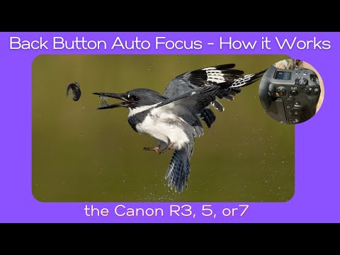 Canon R3 / R5 / R7: Back button AF (4895C002)