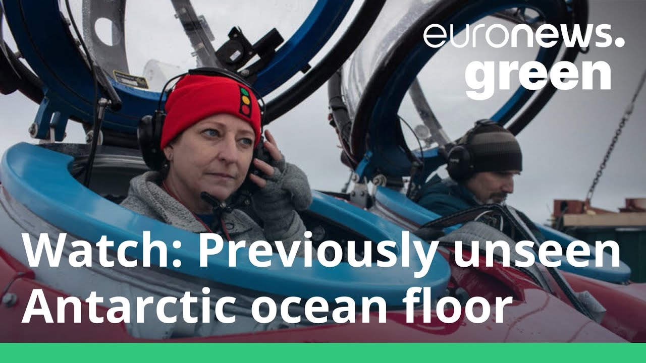 First ever footage of the Antarctic seabed reveals a thriving ecosystem threatened by ice melt