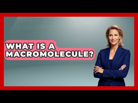 What Is A Macromolecule? - Biology For Everyone
