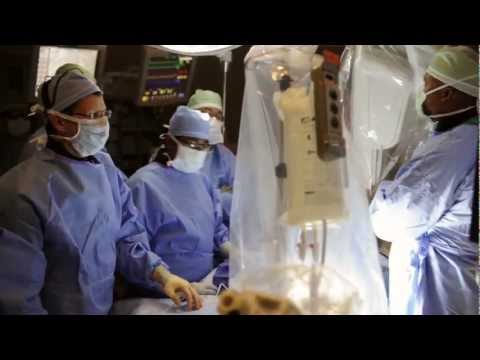 Meet Wellstar Physician Arthur Reitman, M.D.