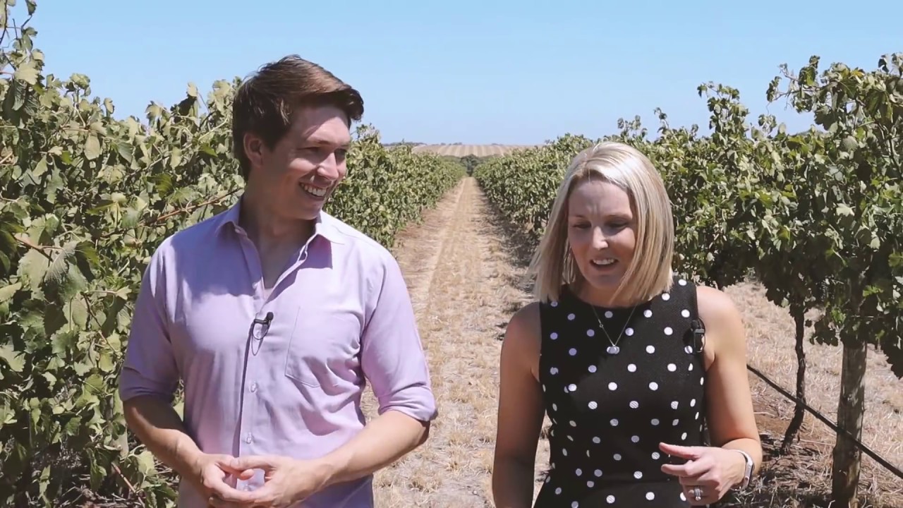 Welcome to The Wine Collective